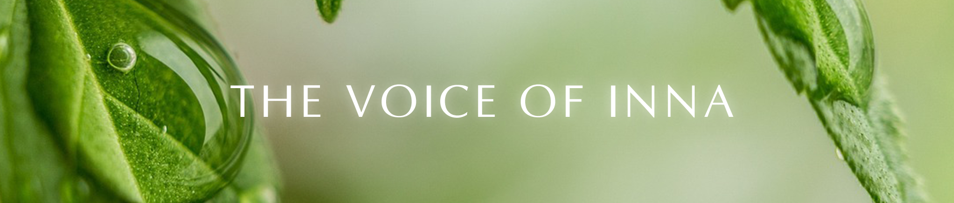 Blog - Inna Organic