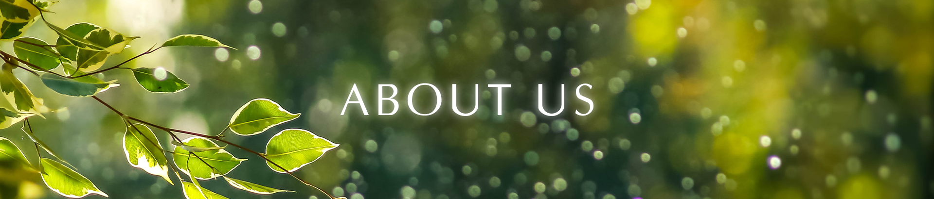 About Us - Inna Organic